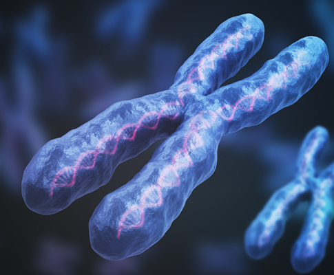 Das Syndrom - Turner-Syndrom-Vereinigung Deutschland e.V.